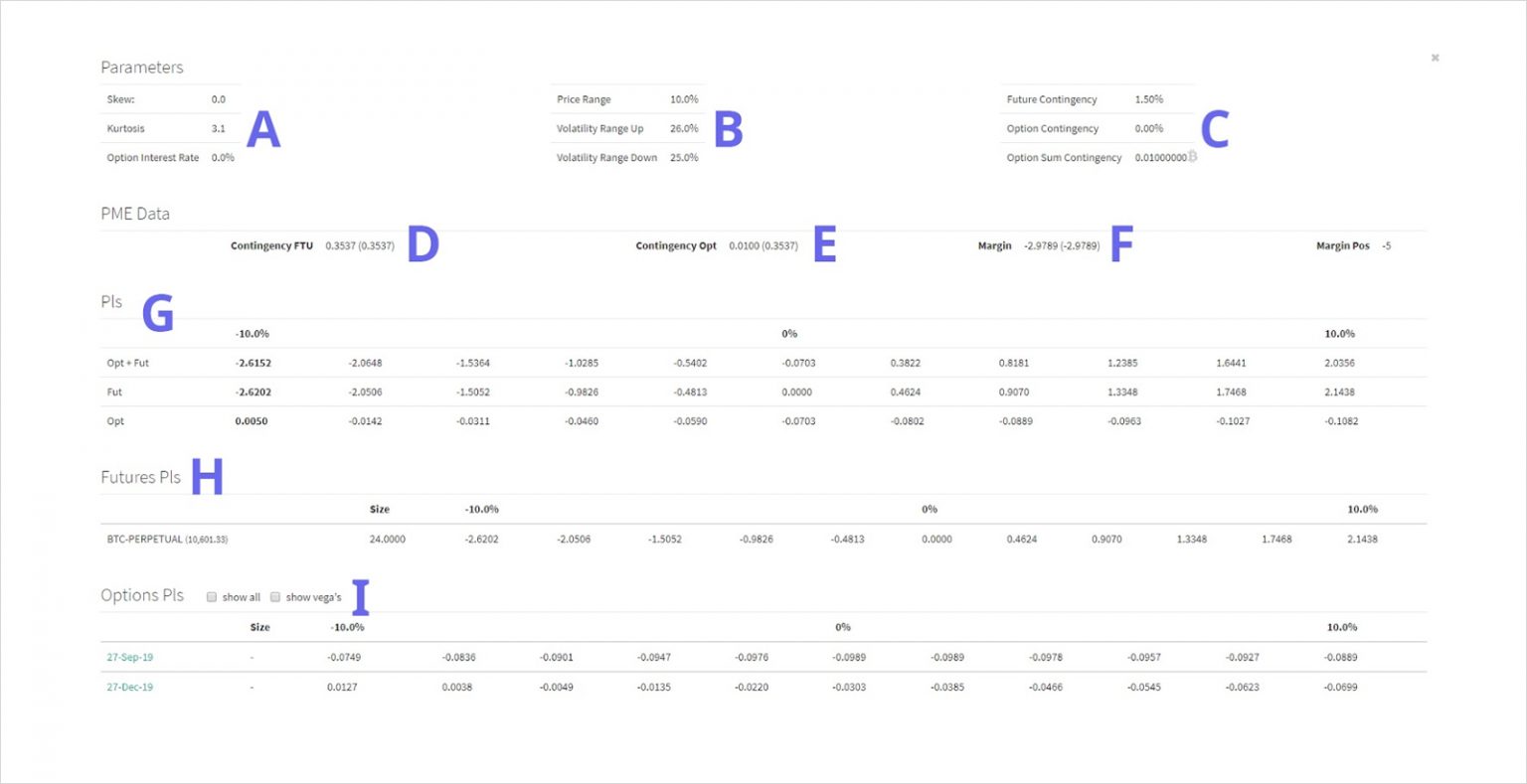 Portfolio Margin - Deribit Insights