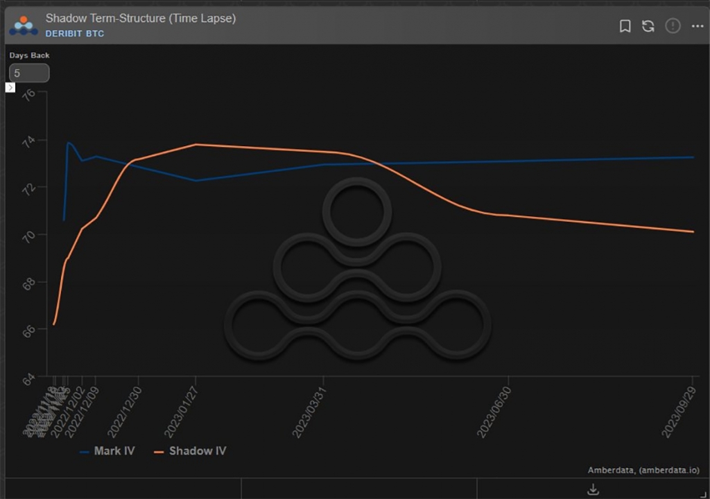 Option Flow - Week 47, 2022 - Deribit Insights